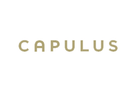 Policyfast Insurers - Capulus
